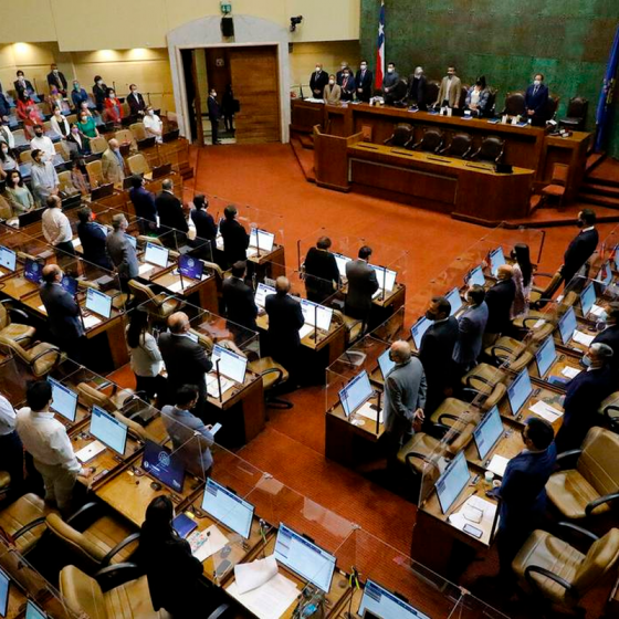 A paso raudo, Cámara Baja, comenzó este lunes tramitación de proyecto ...