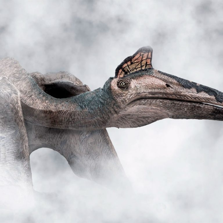 Gigantesco fósil del “Dragon de la Muerte”, fue encontrado en Argentina ...