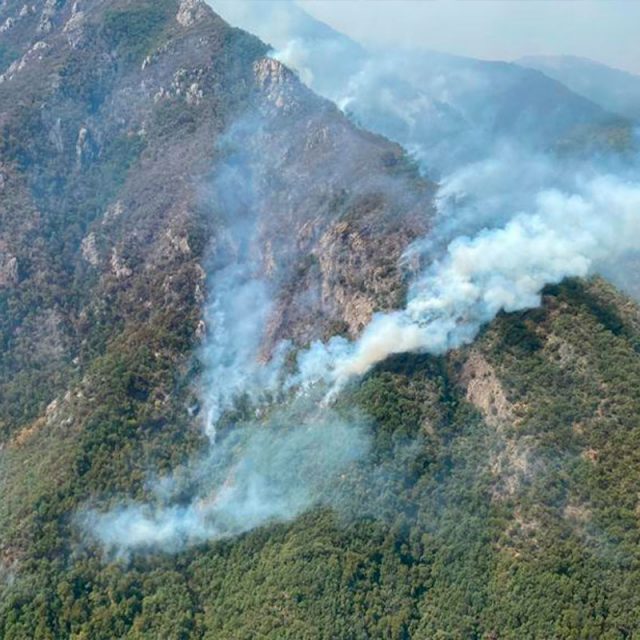 Incendio en Río Blanco, avanza descontrolado, impulsado por gran ...