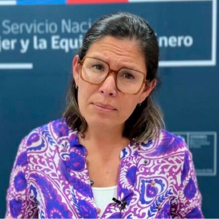 Servicio Nacional de la Mujer y Equidad de Género (Sernameg) se compromete a apoyar a la familia ...