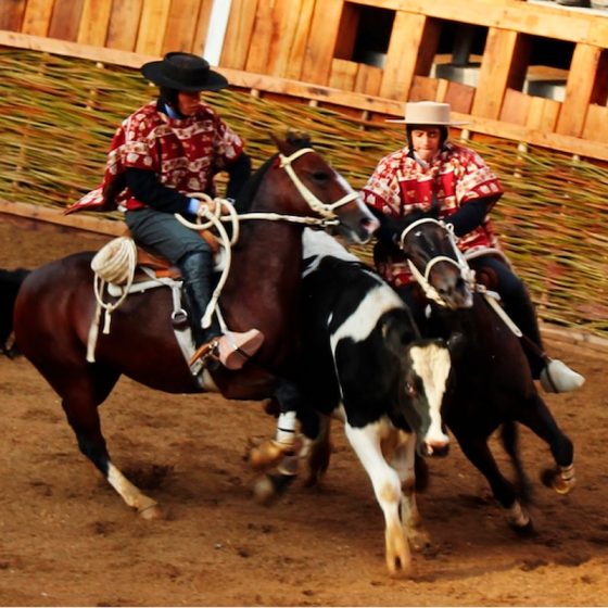 El Rodeo está a un paso de ser declarado oficialmente Deporte Nacional ...