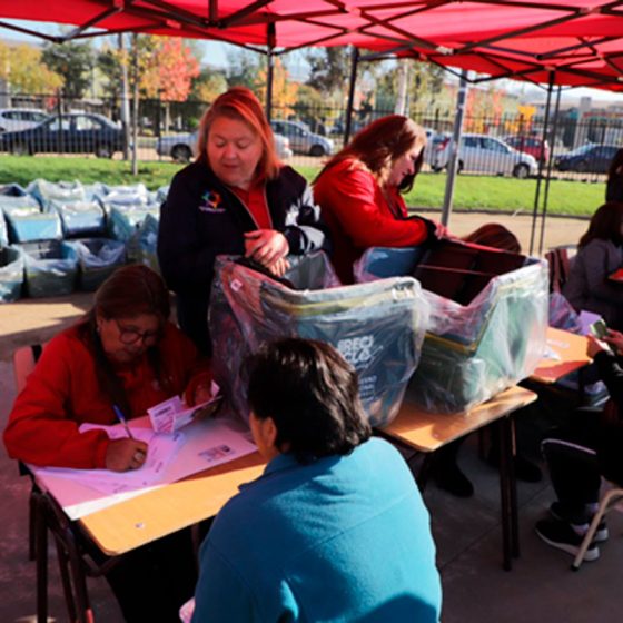 Avanzando a paso firme camina exitosamente“Proyecto Talca Recicla” | Publimicro