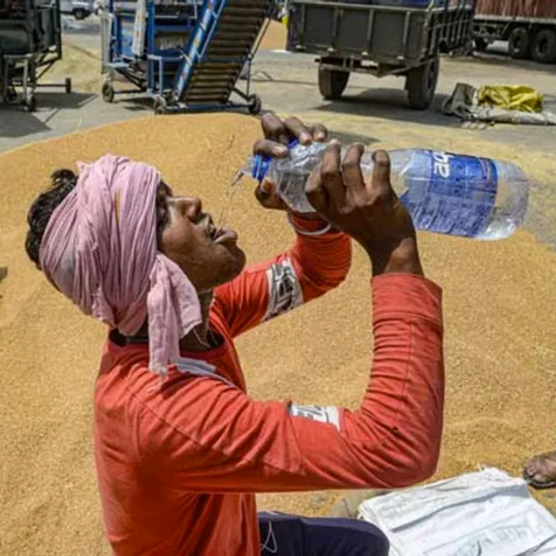 ¿Por qué el mundo está viviendo un calor extremo este año? La culpa ...
