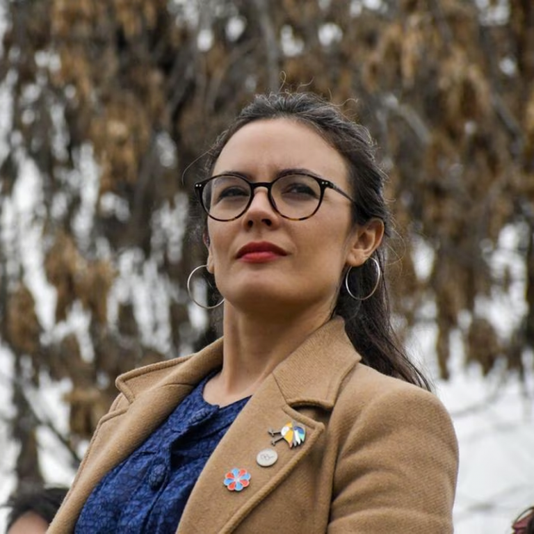 Camila Vallejo Por Curso De Probidad “este Tipo De Inducciones No