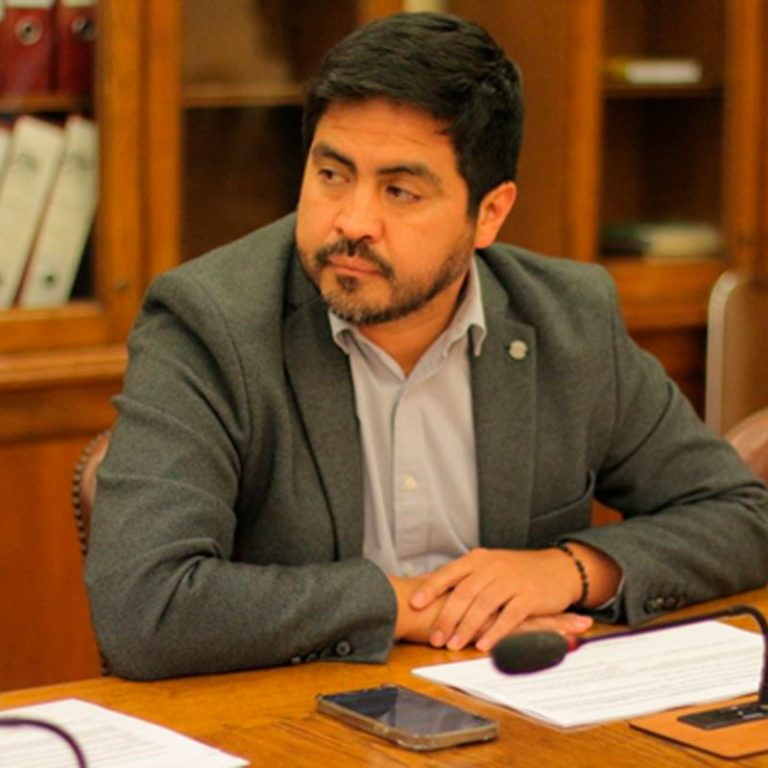 Diputado Daniel Melo (PS): “La Constitución de Kast es la del abuso y ...