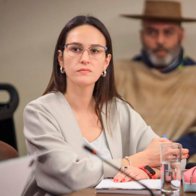 Diputada Paula Labra ofició a Senapred y Corfo para conocer medidas de ...