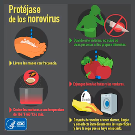 ¿Cómo diferenciar el norovirus de las intoxicaciones alimentarias? La llamada “gripe estomacal ...