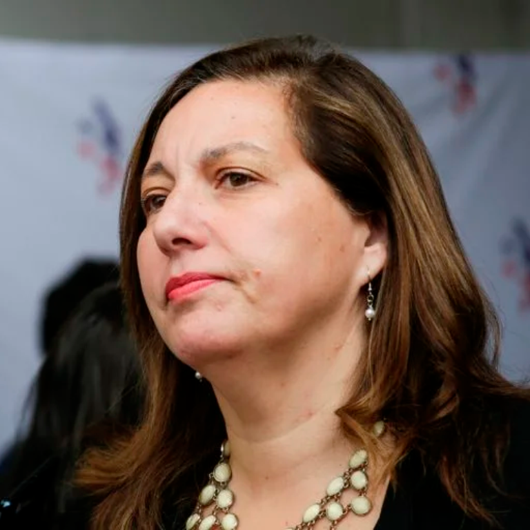 Senadora Vodanovic busca agilizar, ante el Ministerio del Interior, el ...